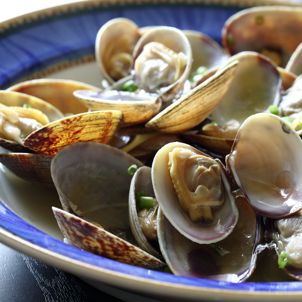 Almeja Chirla – El Pescado Feliz