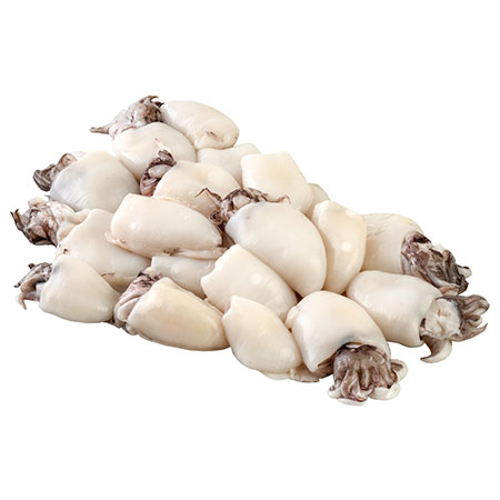 Calamar Chipiron Patagónico Limpio – El Pescado Feliz