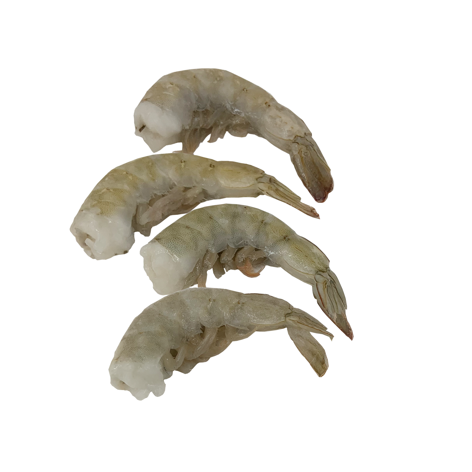 Camaron Jumbo sin Cabeza – El Pescado Feliz