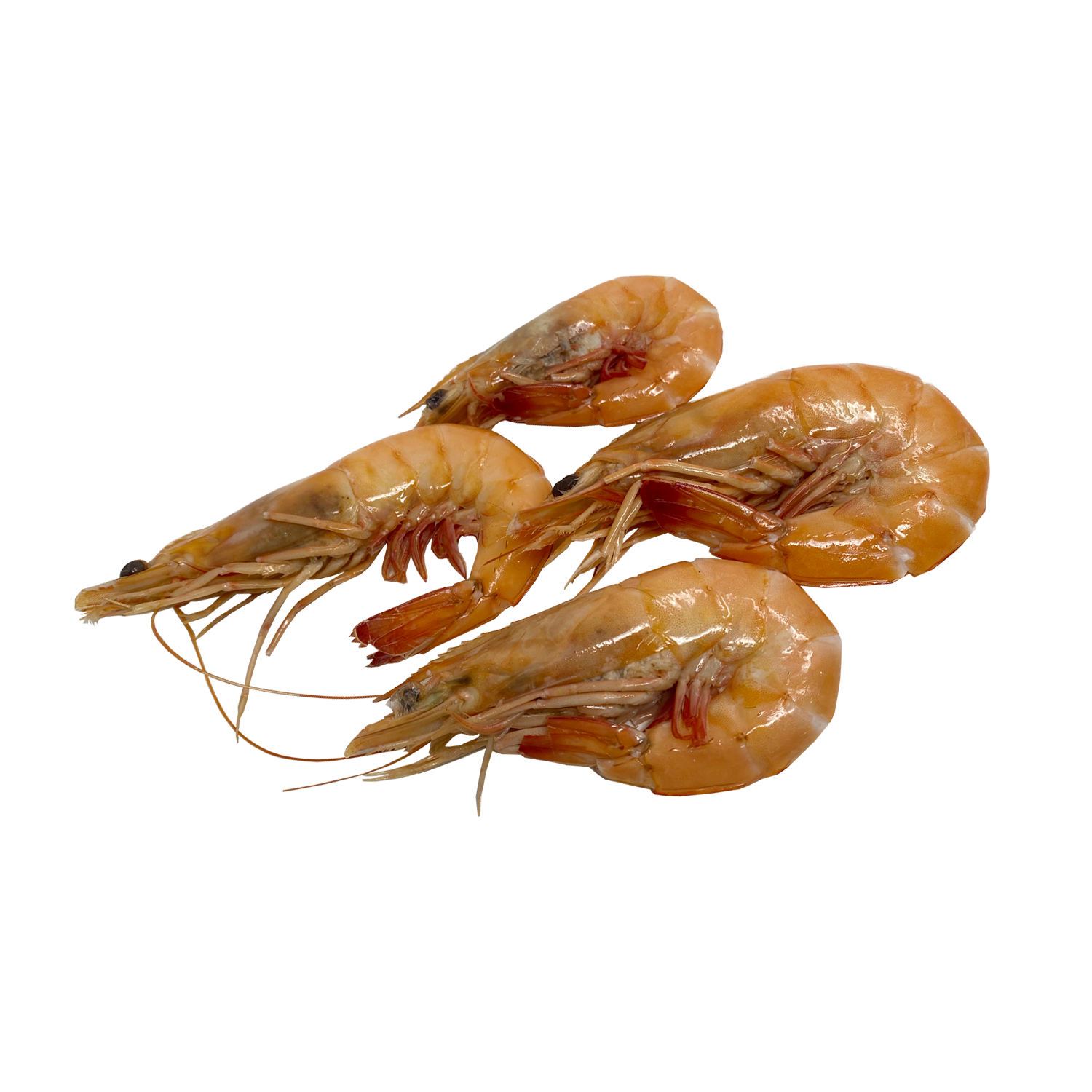 Camarón para Pelar Grande (Macuil) – El Pescado Feliz